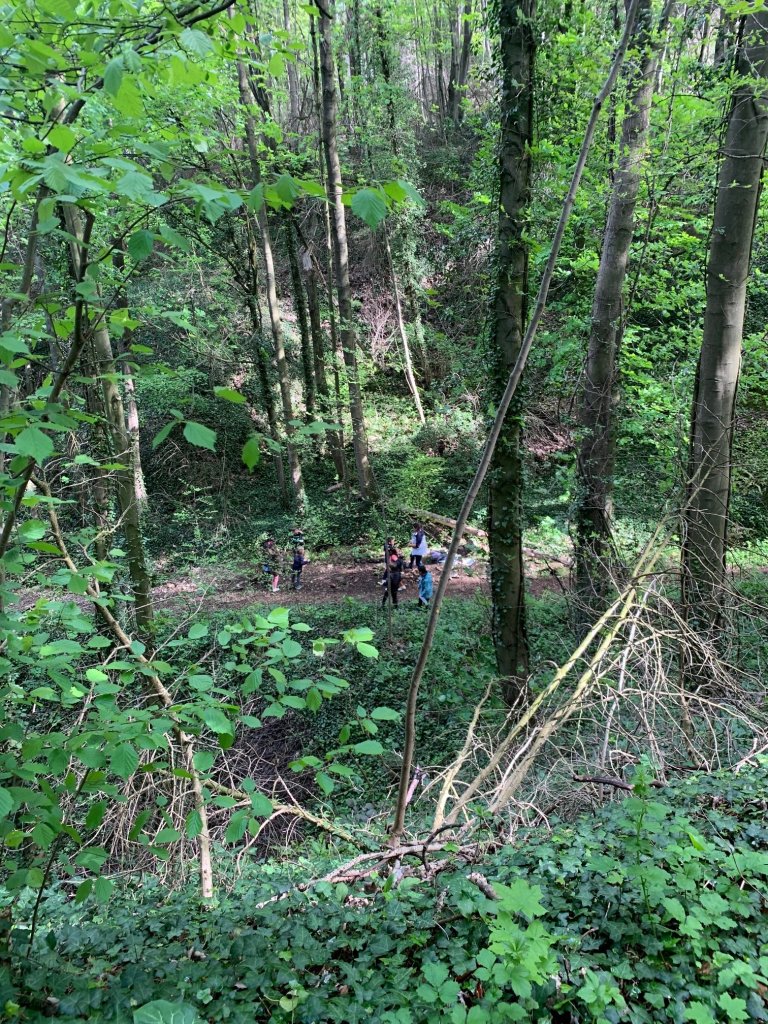 Sortie en forêt CE1 - Ombrosa