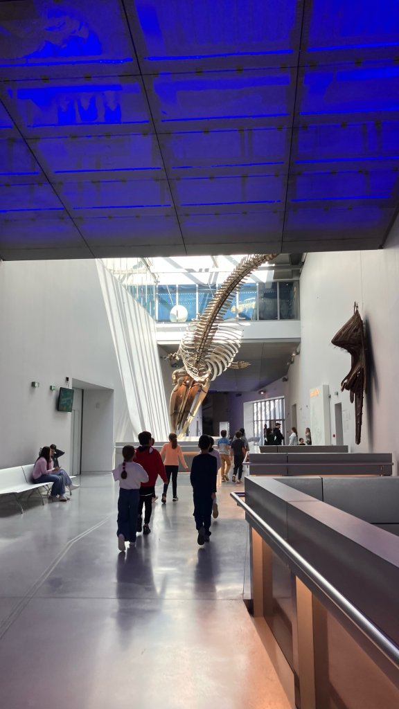 All Together Day CM2 - Ombrosa